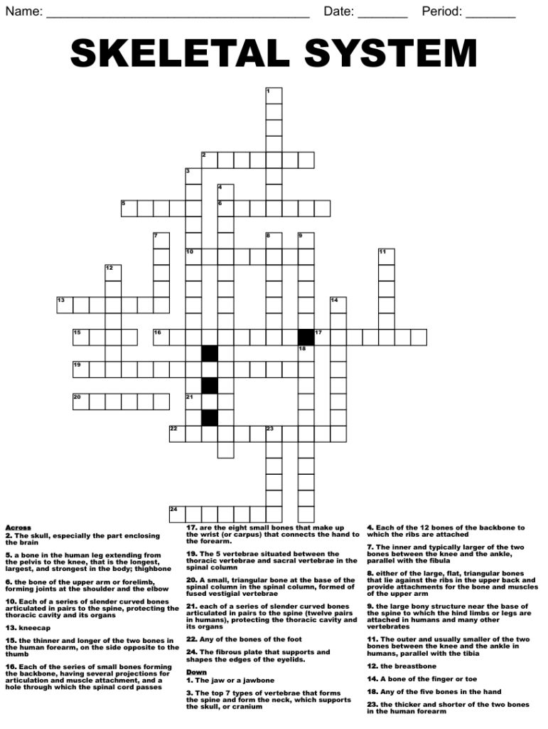 Printable Skeletal System Crossword Puzzle - Free Crossword Puzzles ... Printable Skeletal System Crossword Puzzle - Free Crossword Puzzles ...